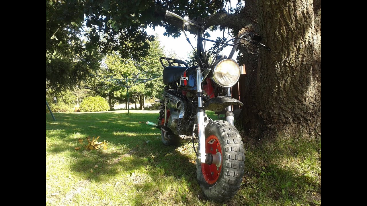 Monkey Stunt - YouTube