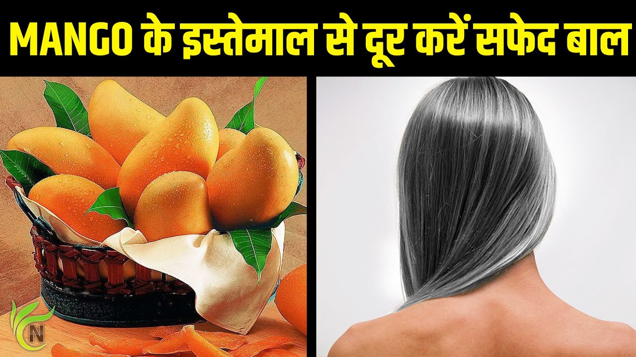 मैंगो के इस्तेमाल से दूर करें सफेद बाल || Remove White hair from the ...