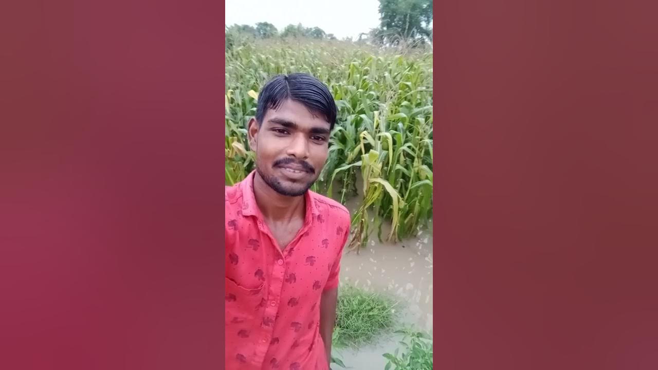 Aaj sham ko barish Hui hamari kheton mein Pani bhar Gaya mirchon mein krishi sambandhit video ...