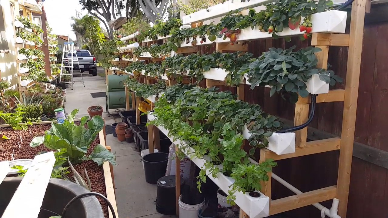 vertical nft aquaponic system - YouTube