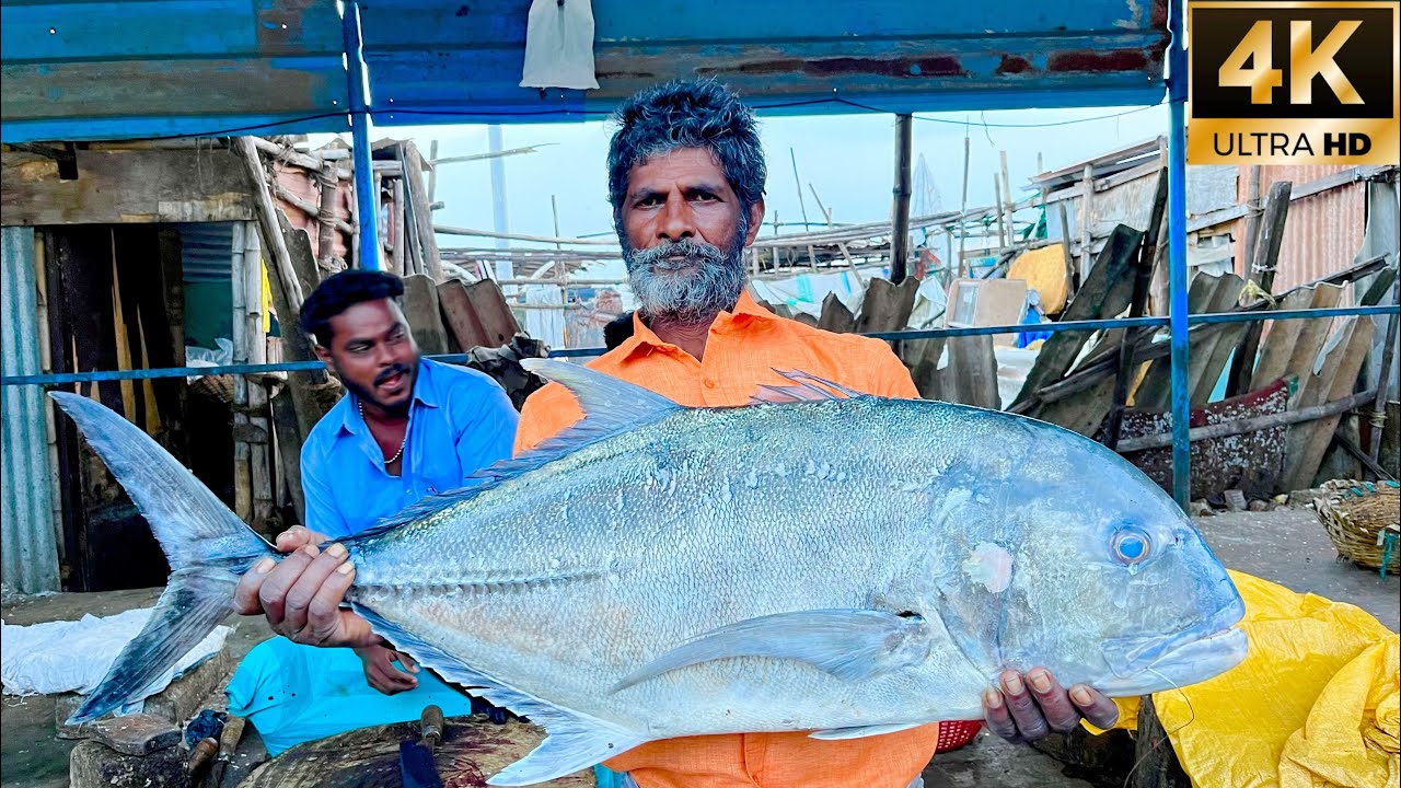 Paarai fish cutting video/fishcuttingrs#kasimedu #fish #fishcuttingrs ...