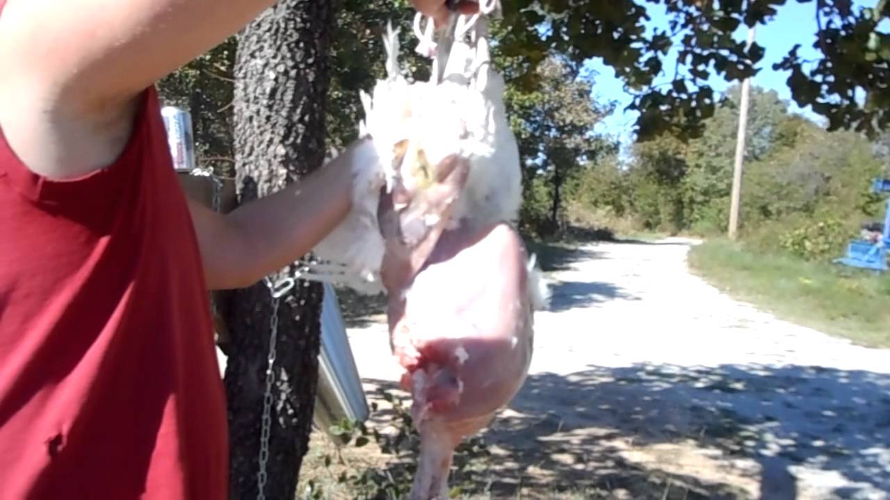 Skinning The Turkey - YouTube