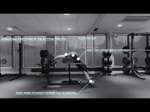 Horizontal Dumbbell Accentuated Eccentric Hip Extension - YouTube