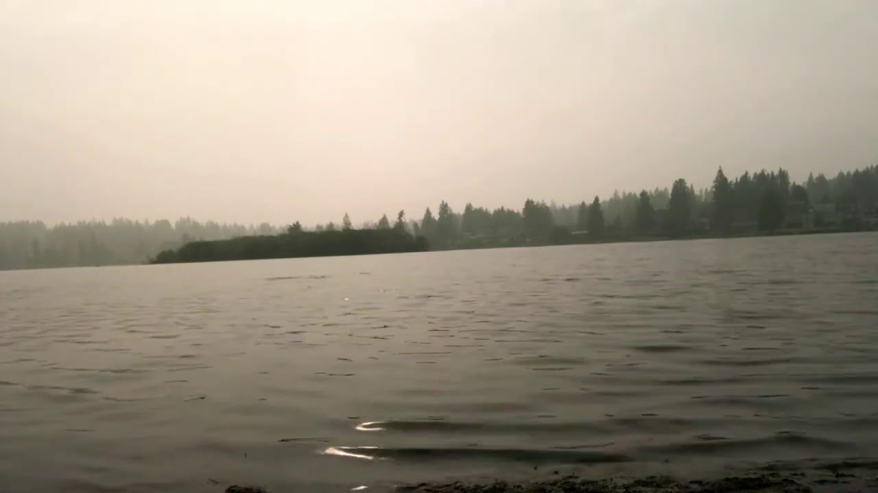 The swim cutie Fall 2020: Mountlake Terrace lake park: mermaid swim and ...