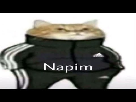 napim diyen kedi!!!