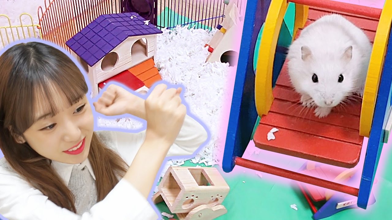 햄스터 에버랜드! 햄스터 거대 놀이공원 놀이터 만들기 Hamster Amusement park, Hamster Giant ...