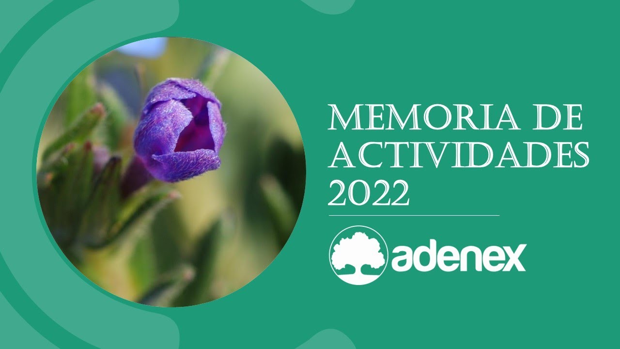 MEMORIA DE ACTIVIDADES ADENEX 2022 - YouTube