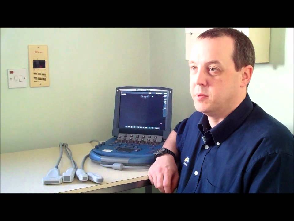 BCF Technology, Sonosite veterinary ultrasound scanner video - YouTube