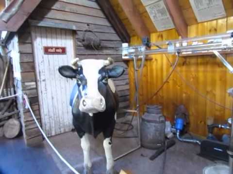 Bega Cheese Factory Museum - YouTube