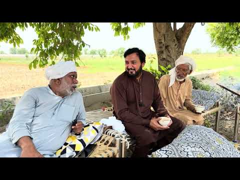 Anjum Saroya | Lemon 🍋 da achaar paya | Bakria nu jantar chraya | Tarki de bachy ay dere ty