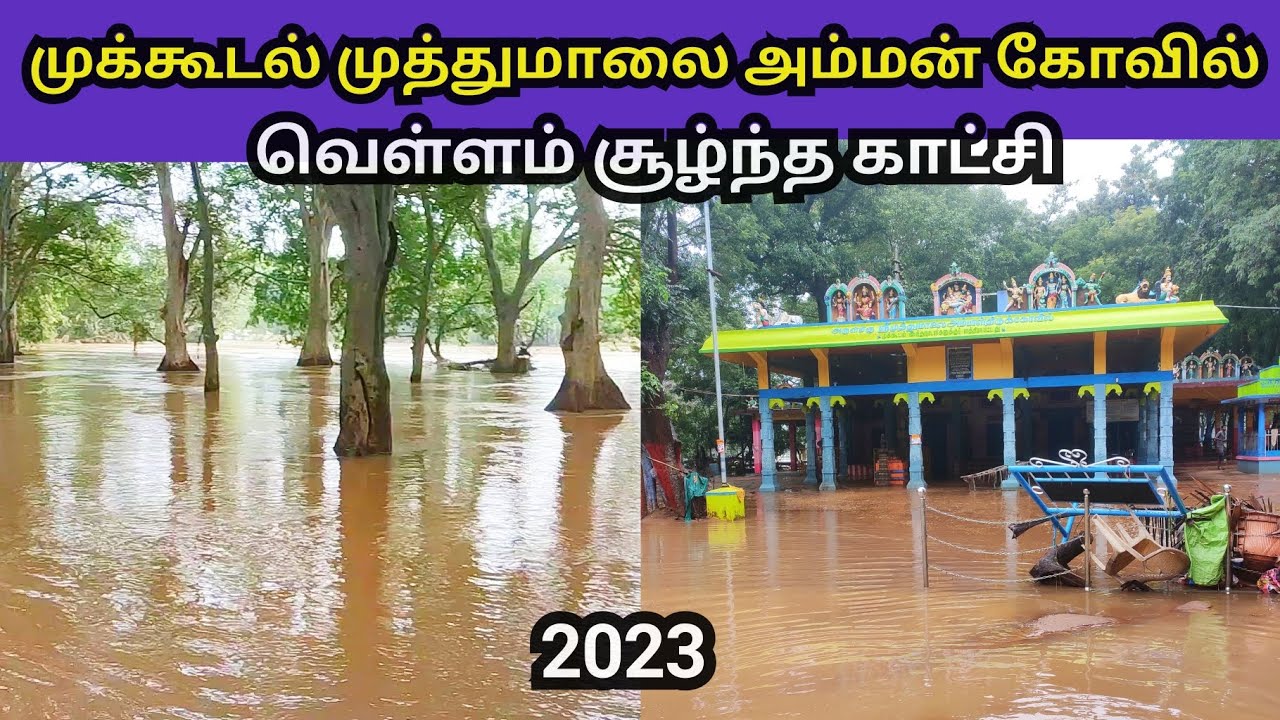 Mukkudal - முக்கூடல் முத்துமாலை அம்மன் கோவிலில் வெள்ளம் சூழ்ந்த காட்சி ...