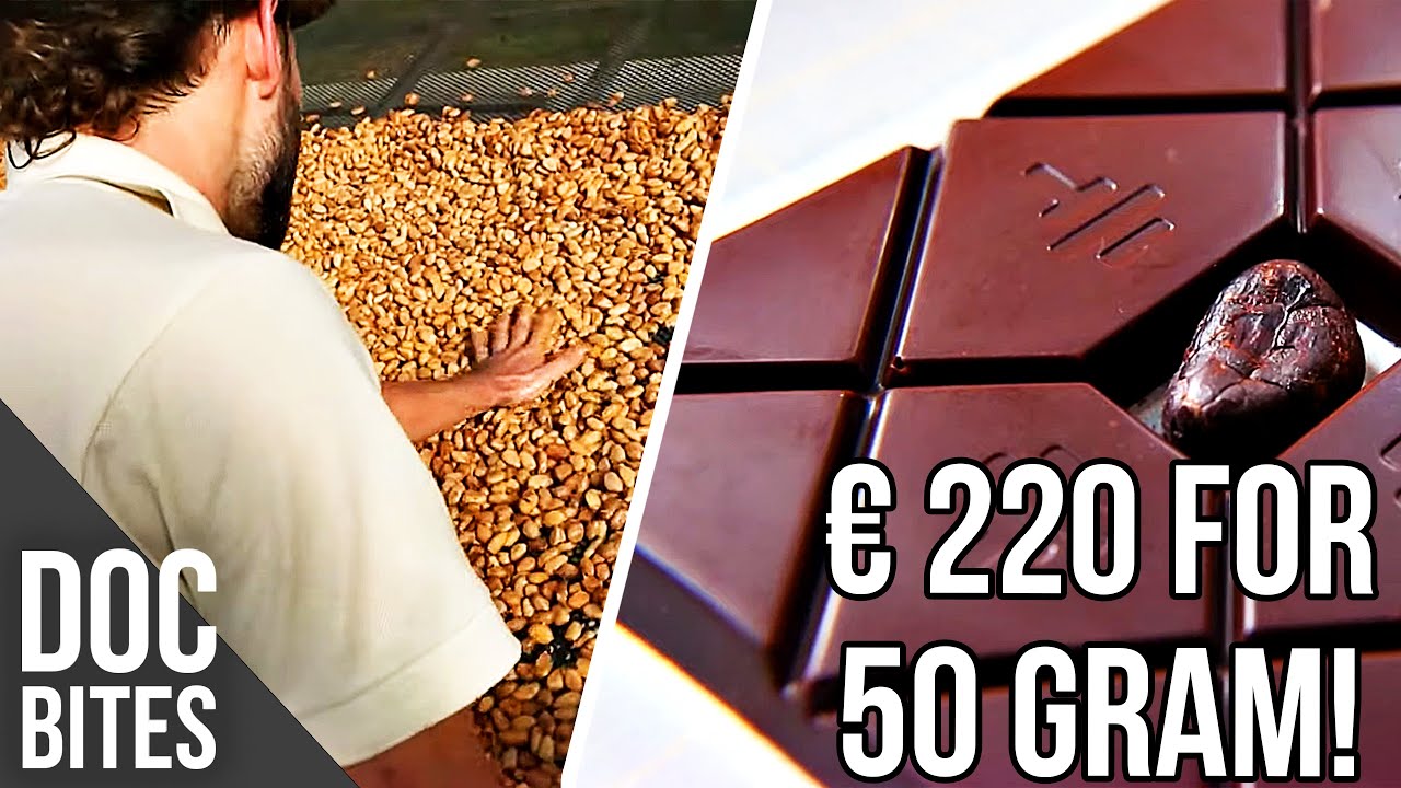 World's Most Expensive Chocolate | Did You Know? | Doc Bites - YouTube