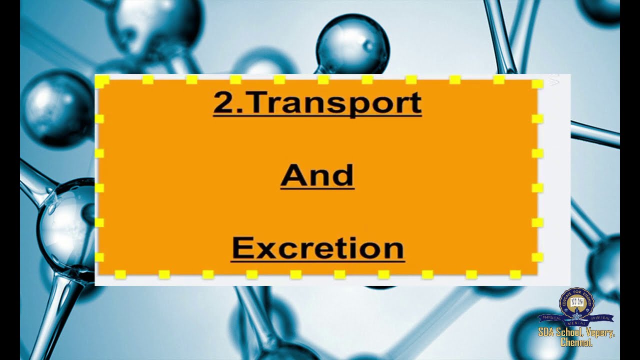 Class 5/ICSE/Science/Ch 2/Part 2/Session 4 - YouTube
