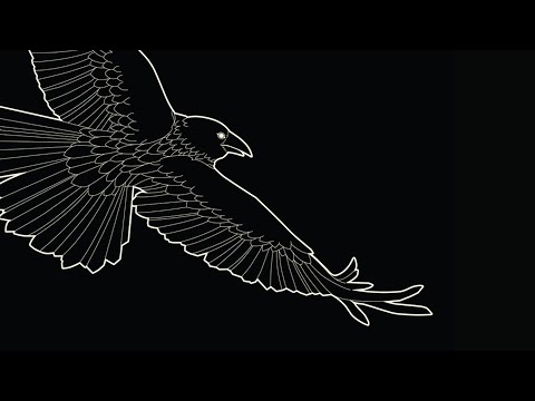 mxrningstar - хүн ft. Céline Dessberg (lyric video)