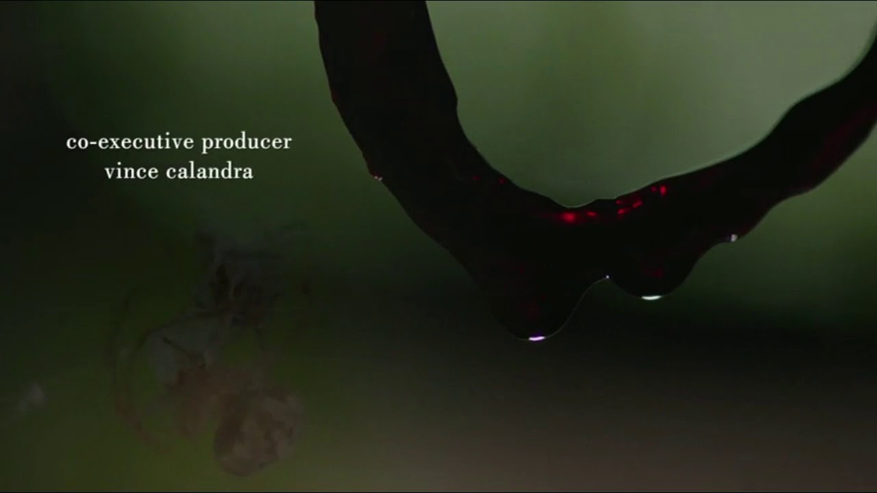 Sharp Objects Episode 2 Intro - YouTube