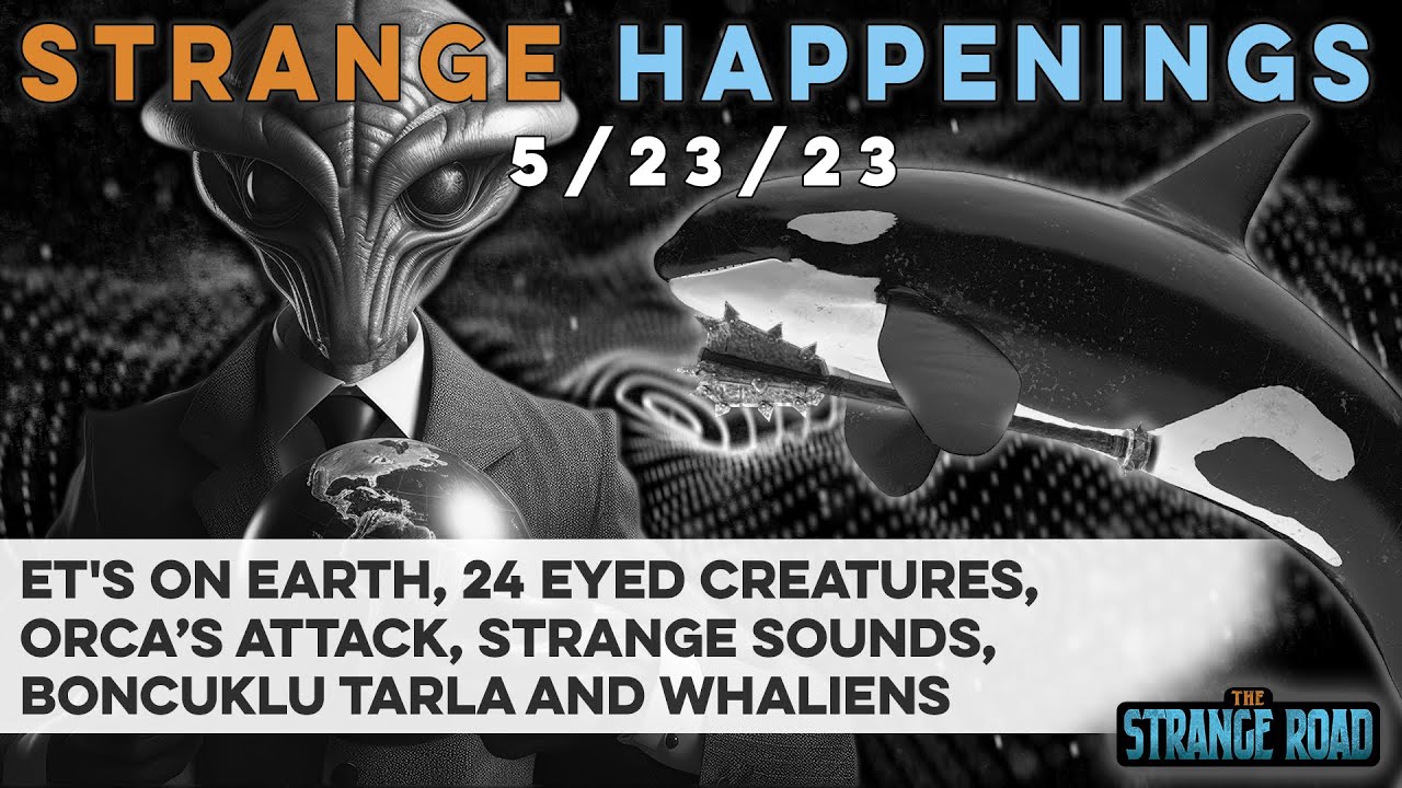 ET's on Earth, Organism 46-B, Orca's Attack, Strange Sounds, Boncuklu ...