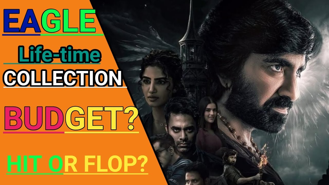 Eagle lifetime box office collection | 😄😨 India lifetime box office collection hit or flop Ravi ...