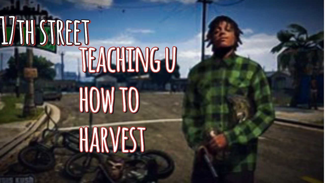 TUTORIAL on how to harvest drugs on 17th street gta rp MUST WATCH ...