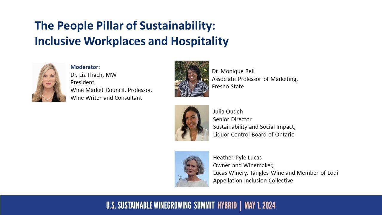 The People Pillar of Sustainability: Inclusive Workplaces and ...