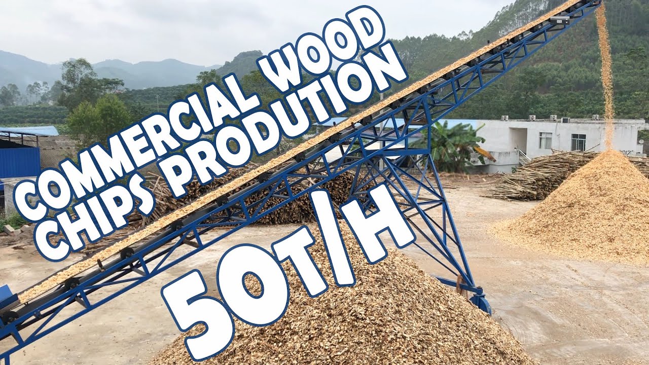 Wood Chips for Paper Mill Commercial Chipping Line - YouTube