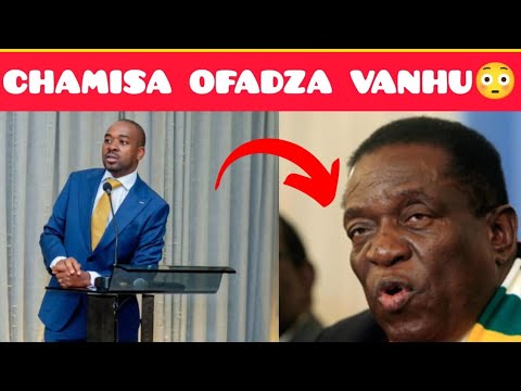 CHAMISA BLUE MOVEMENT NDI PRESIDENT SHUWA HONAI 😳 - YouTube