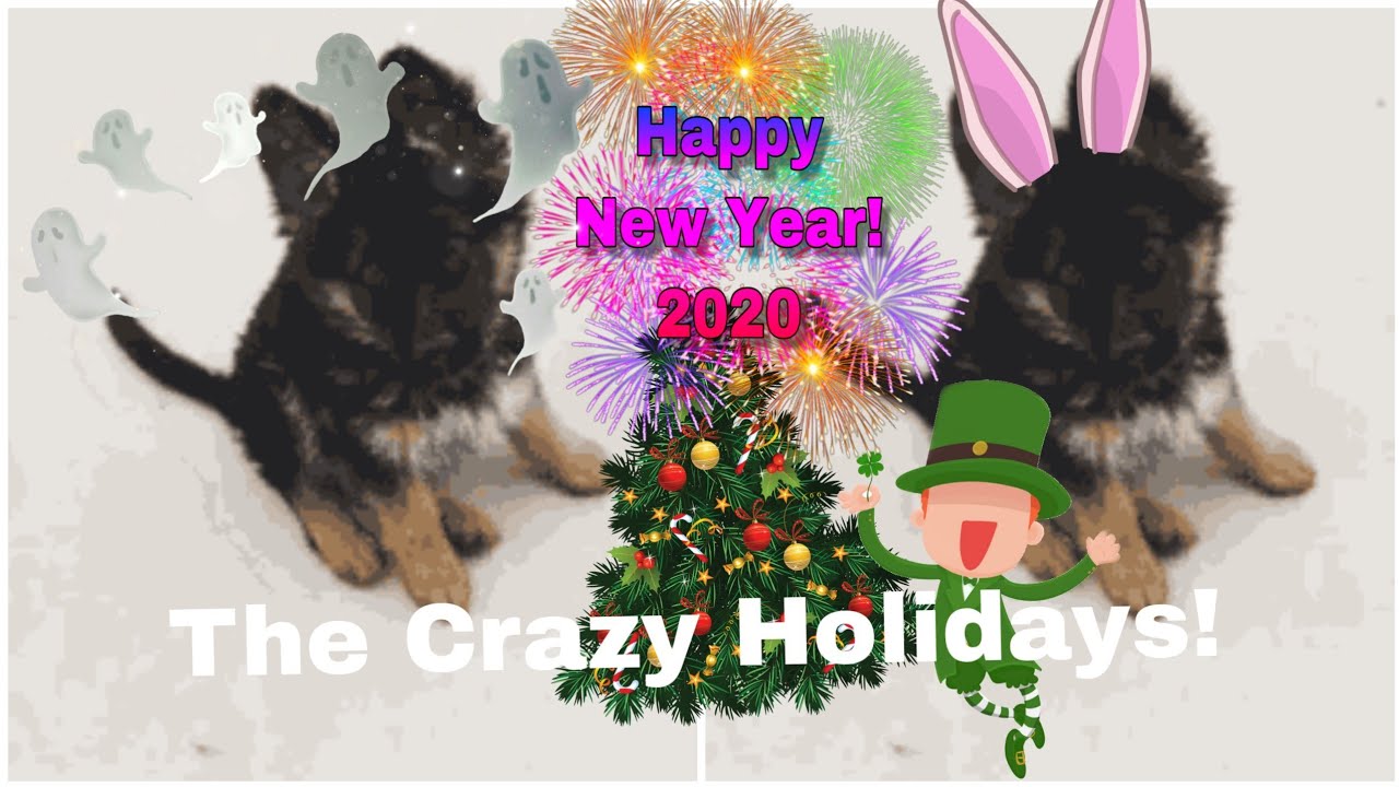 The Crazy Holidays! - YouTube