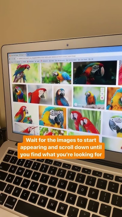🔍💡 How to Use a Reverse Image Search - YouTube