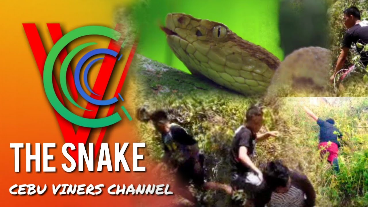 The Snake| CEBU VINERS CHANNEL Group| CEBU VINERS CHANNEL - YouTube