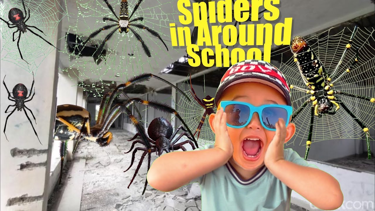 Hunting Top Spiders in Around School! Catching Giant Golden Spider ...