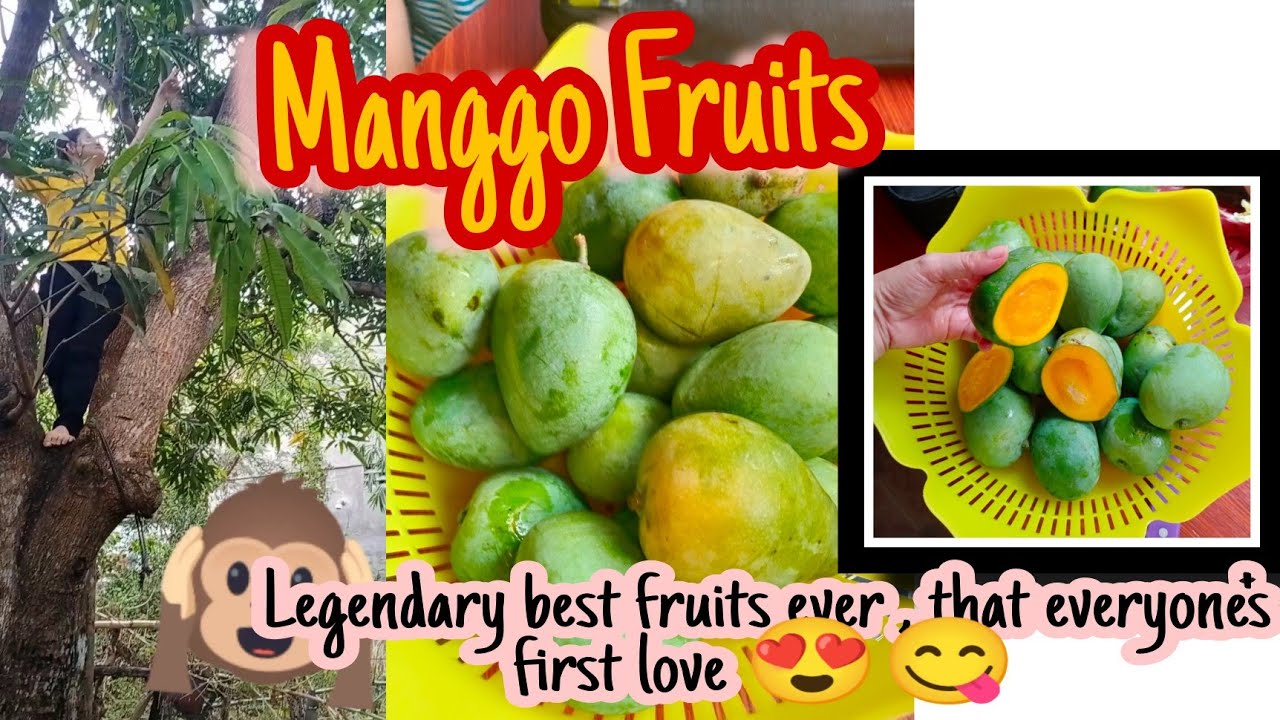 MANGGO Fruits, name palang maglalaway kana - Cherilyn mix tv - YouTube