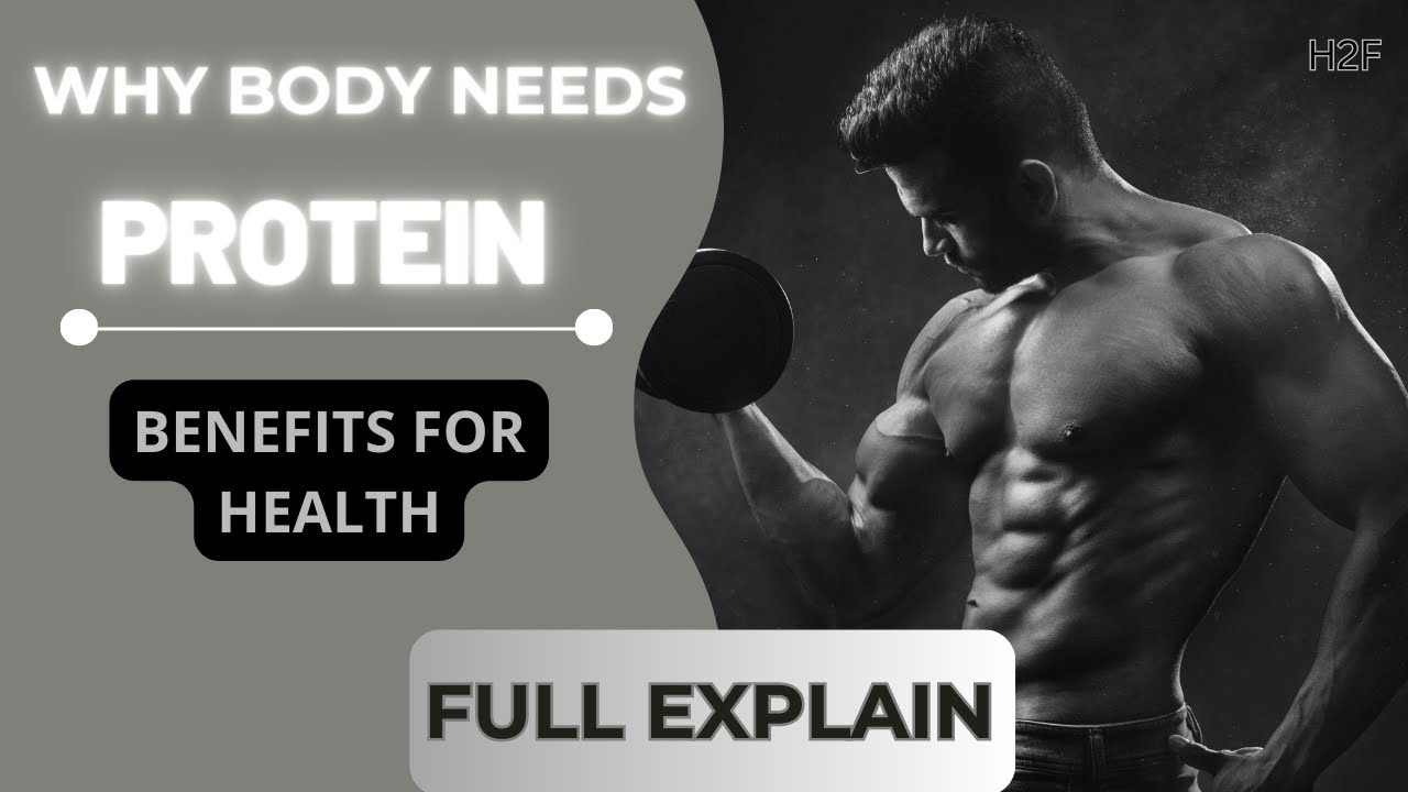What is Protein? Why Body Needs PROTEIN Full EXPLAIN - YouTube