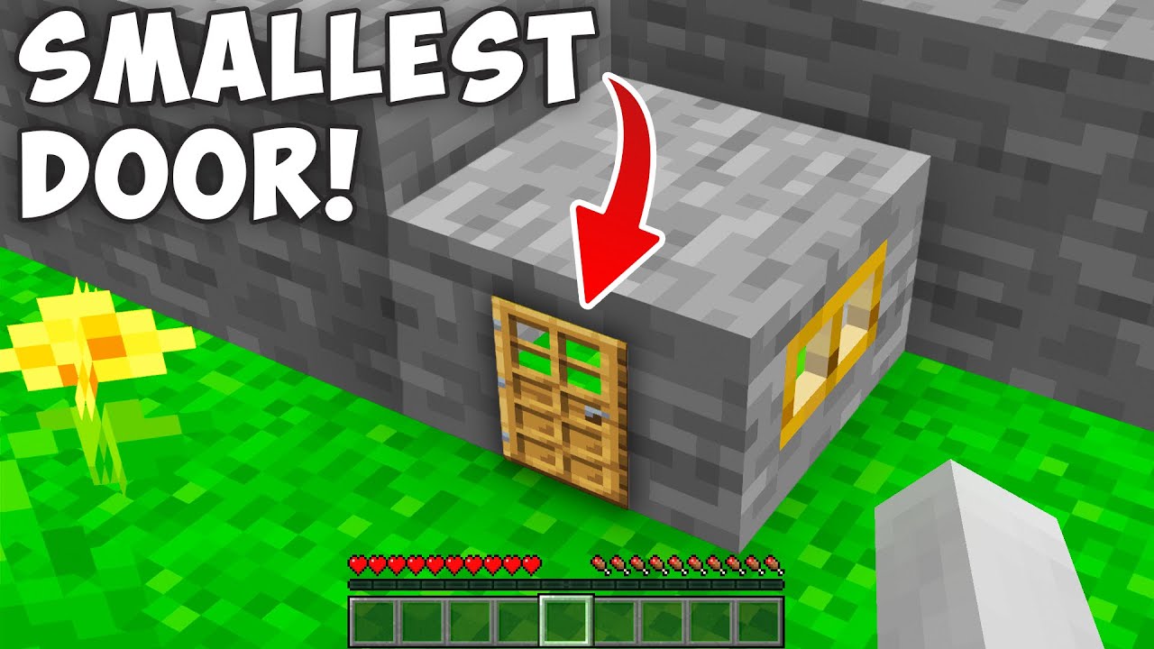 You WILL BE SHOCKED where DOES this SMALLEST DOOR LEADS in Minecraft ...