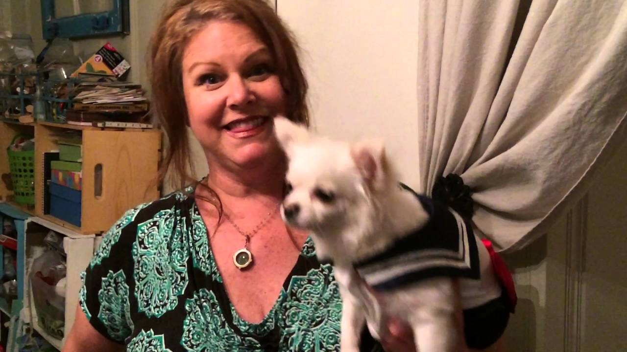 Jennifer Cihi - Sailor Moon - Toronto Sailor Moon Celebration - YouTube