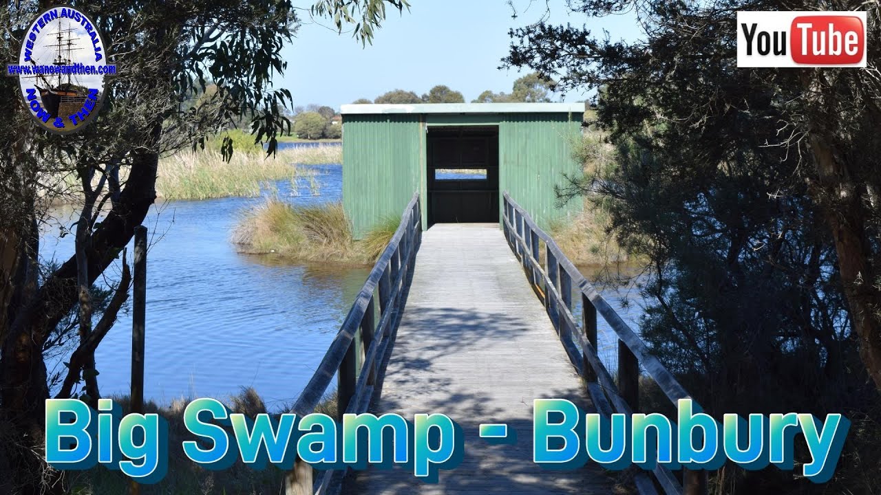 Big Swamp - Bunbury - Western Australia - YouTube