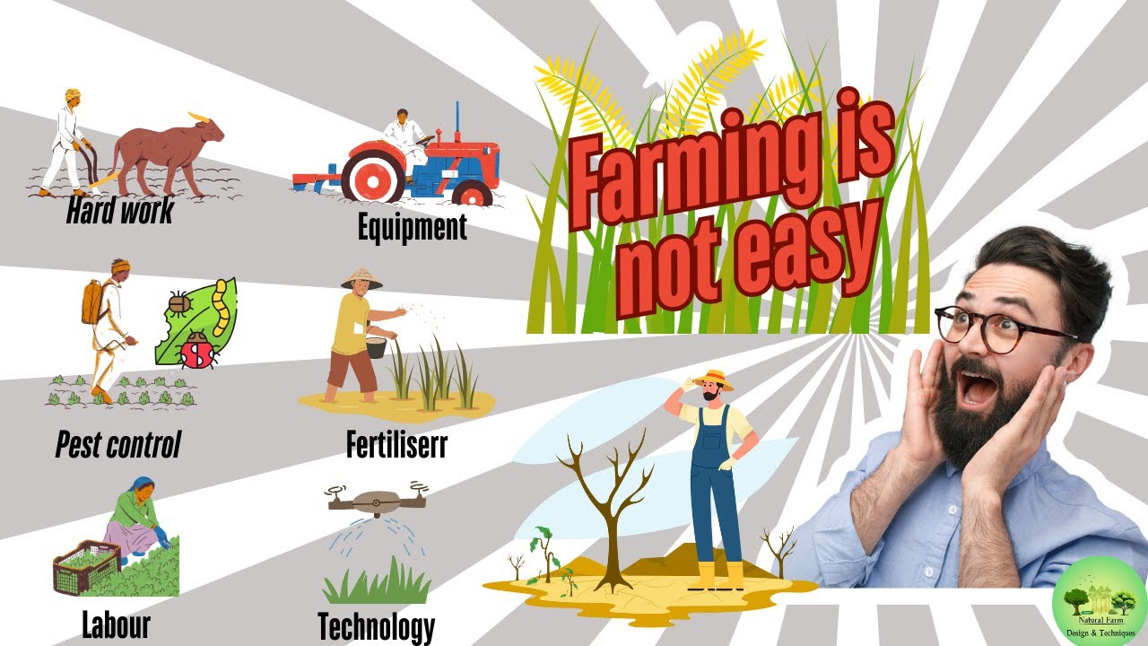 Why Farming is not Easy | Why my parents don't want Farming business ...