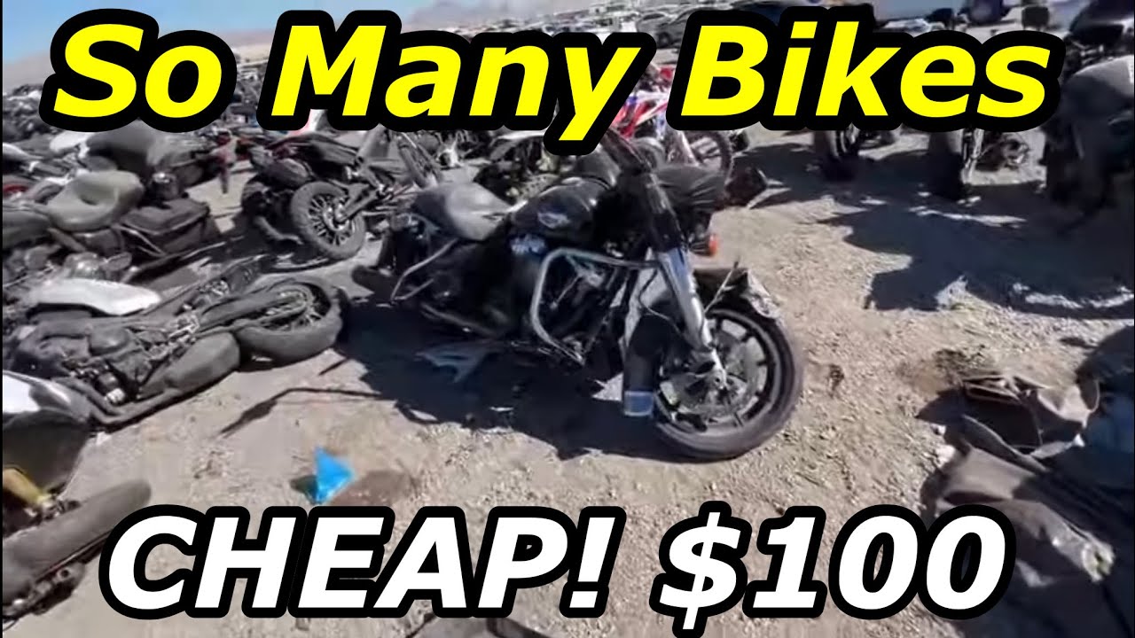 Copart Walk Around, Motorcycles, Many Cheap Harley Davidsons - YouTube