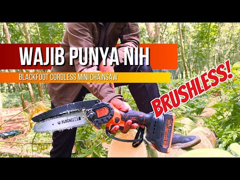 Cordless Chainsaw 300 ribuan ini Calon Goib | Blackfoot Mini Brushless Chainsaw