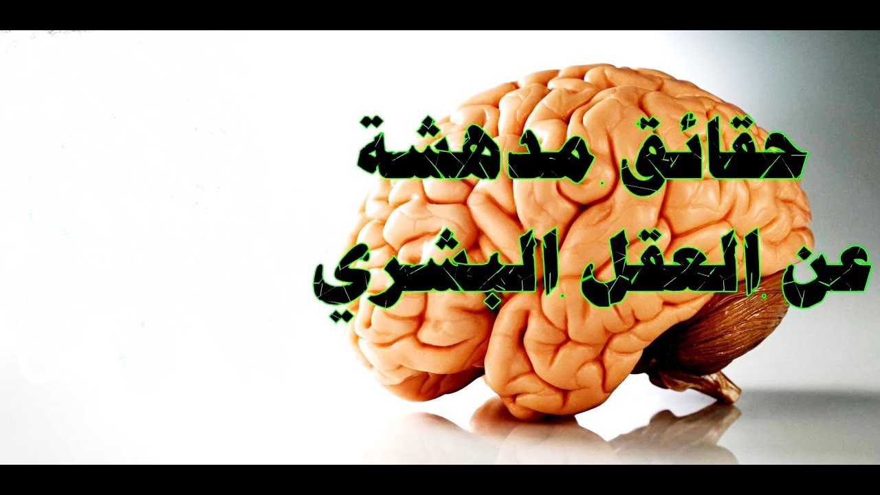 معلومات غريبة عن العقل البشري Youtube