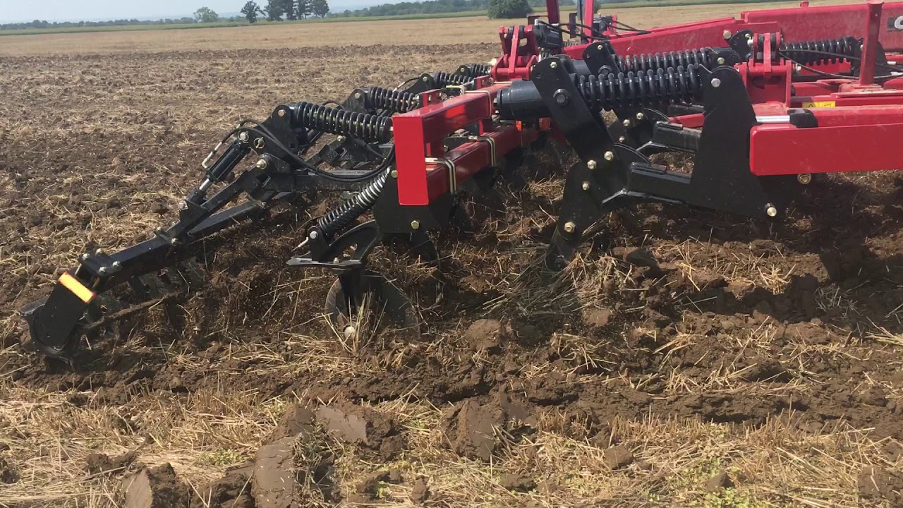 Case IH Ecolo Tiger 875 Demo - YouTube