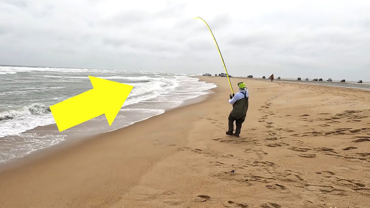 RED DRUM and BLUEFISH in ROUGH SURF! Outer Banks North Carolina - YouTube