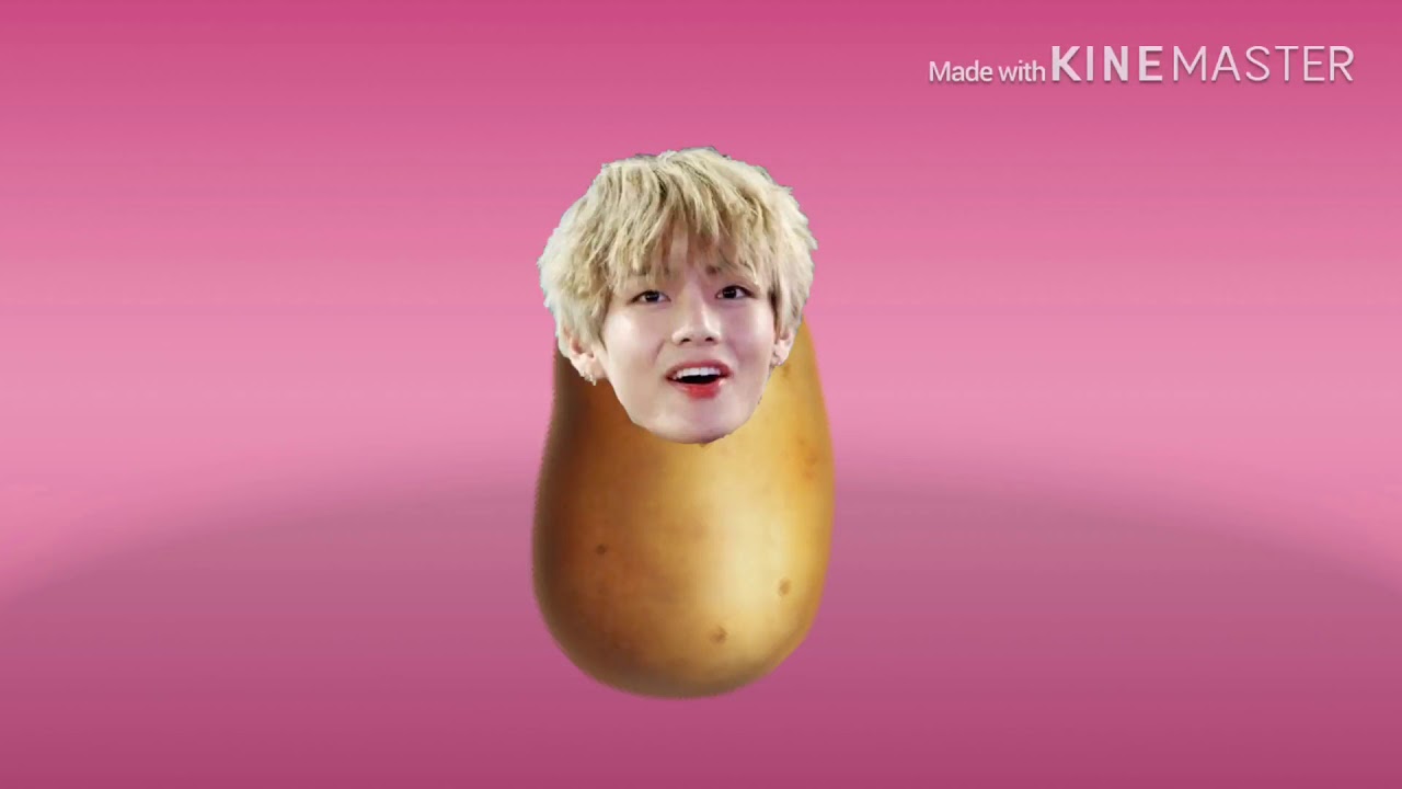 🥔 The Po TAE to Channel 🥔 - YouTube