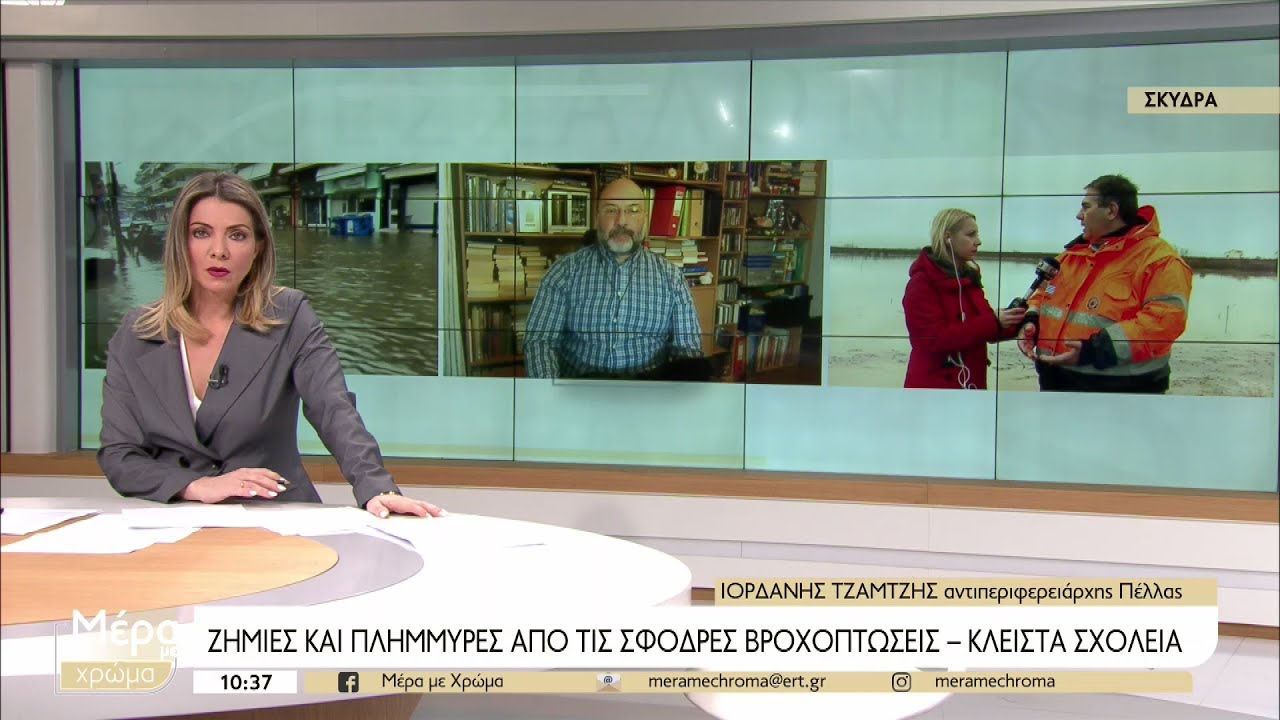 Πέλλα: Ζημίες από τις σφοδρές βροχοπτώσεις | 24/01/2023 | ΕΡΤ - YouTube