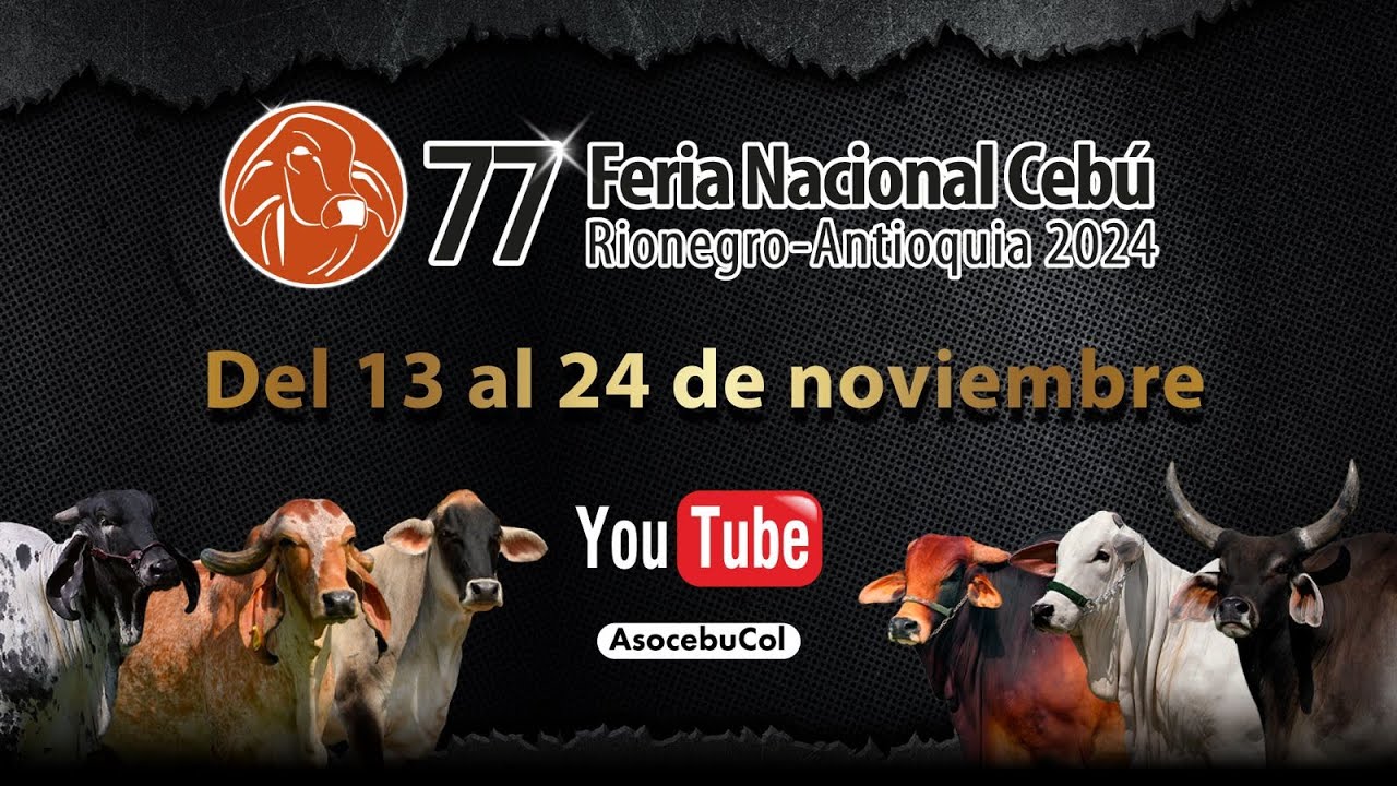 77° Feria Nacional Cebú, Rionegro - Antioquia 2024 / Día 1 - YouTube