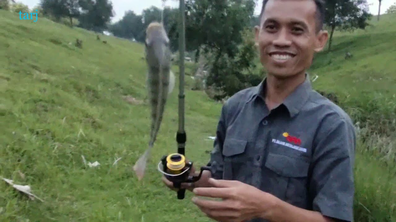 mancing mania - YouTube