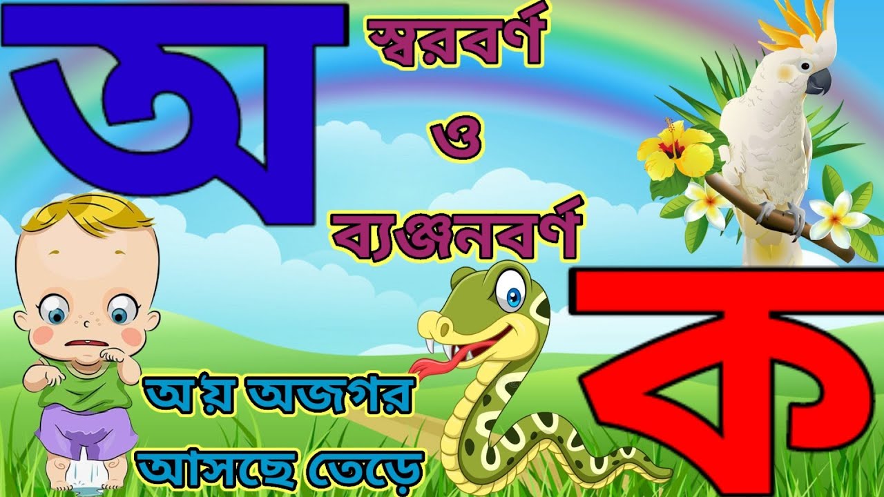 স্বরবর্ণ ও ব্যঞ্জনবর্ণ, বাংলা বর্ণমালা, অআইঈ, অ'য় অজগর, ক'য় কাকাতুয়া ...