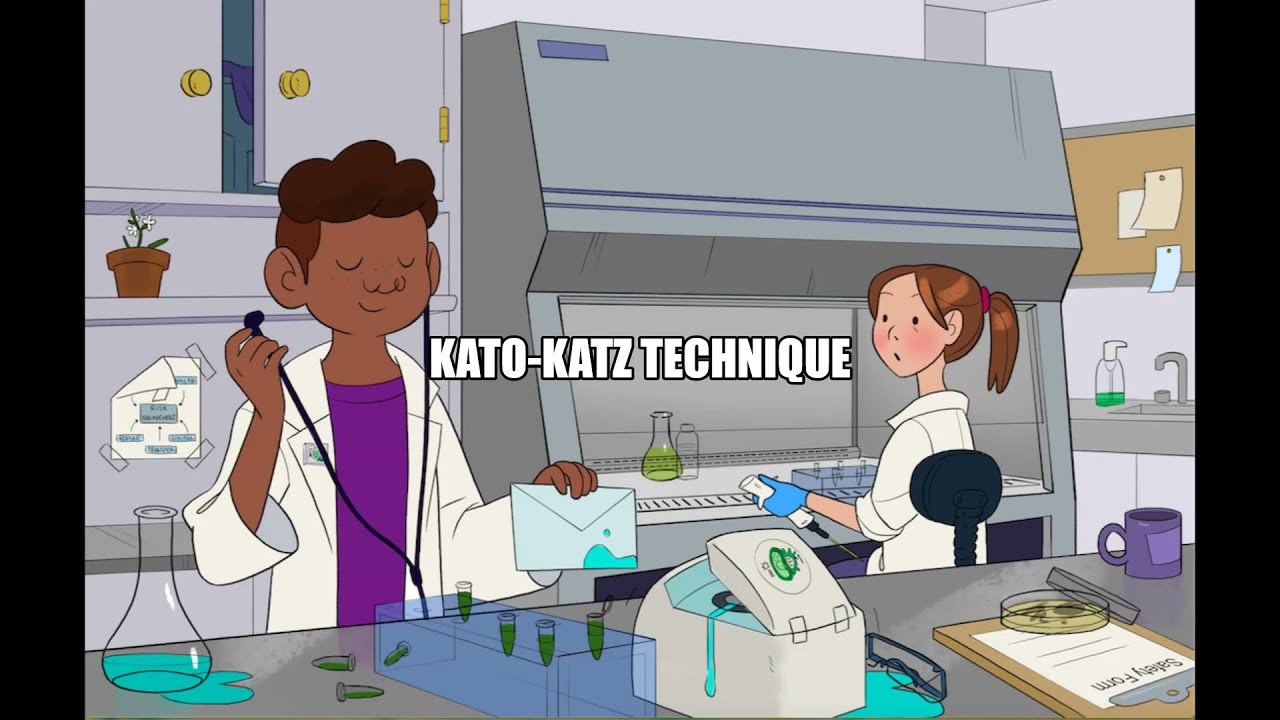 Scotch Tape Method/Kato-Katz/Kato-Thick Method-MEDTECH PARASITOLOGY ...