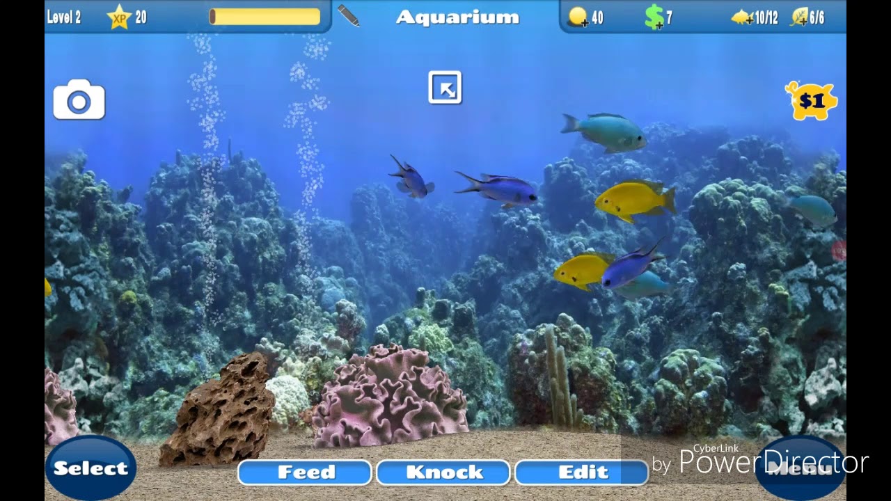 My digital fish tank: feeding episode. - YouTube