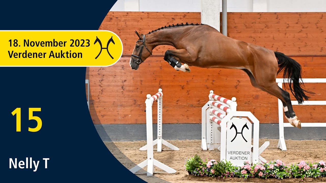 Verden Auction Online - Sporthorses - November 18 - No. 15 Nelly T by ...