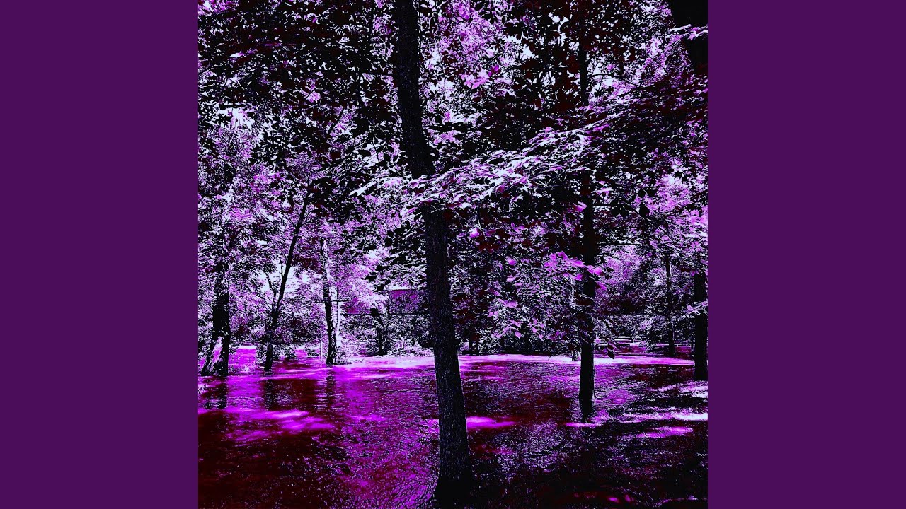 Screaming into the Wind - YouTube