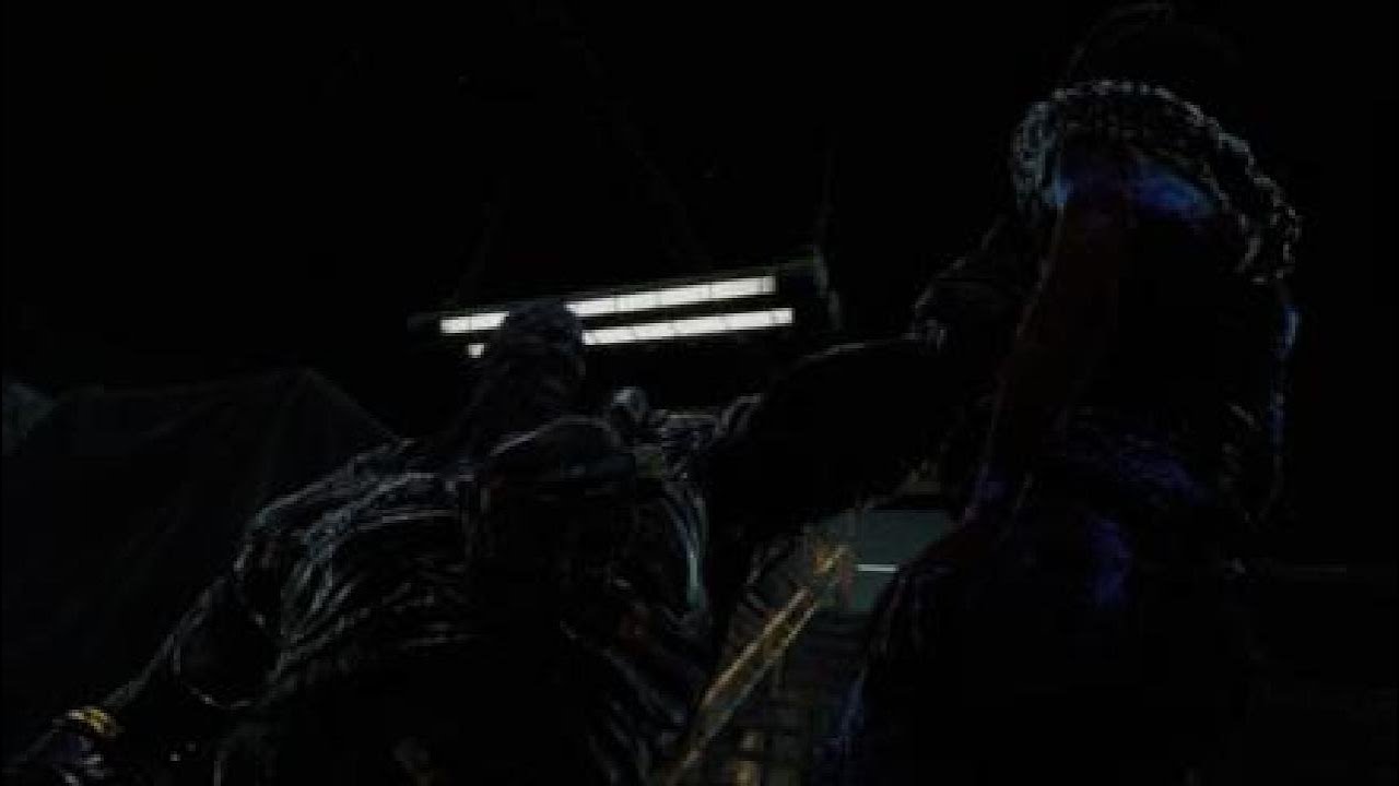 curb stomping survivors - YouTube